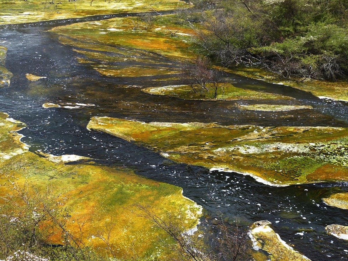 U.S. House scuttles EPA plan to expand definition of waters in Clean ...