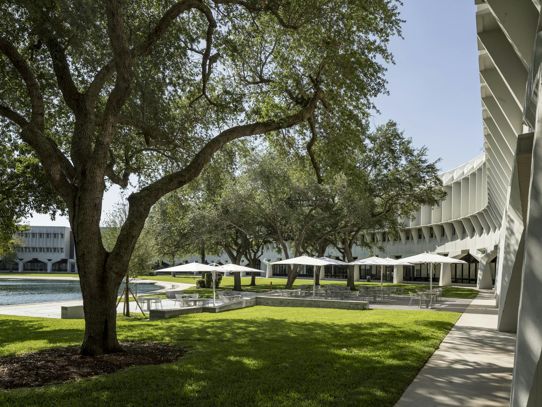 IBM’s former office buildings in Boca Raton turn into a modern tech ...