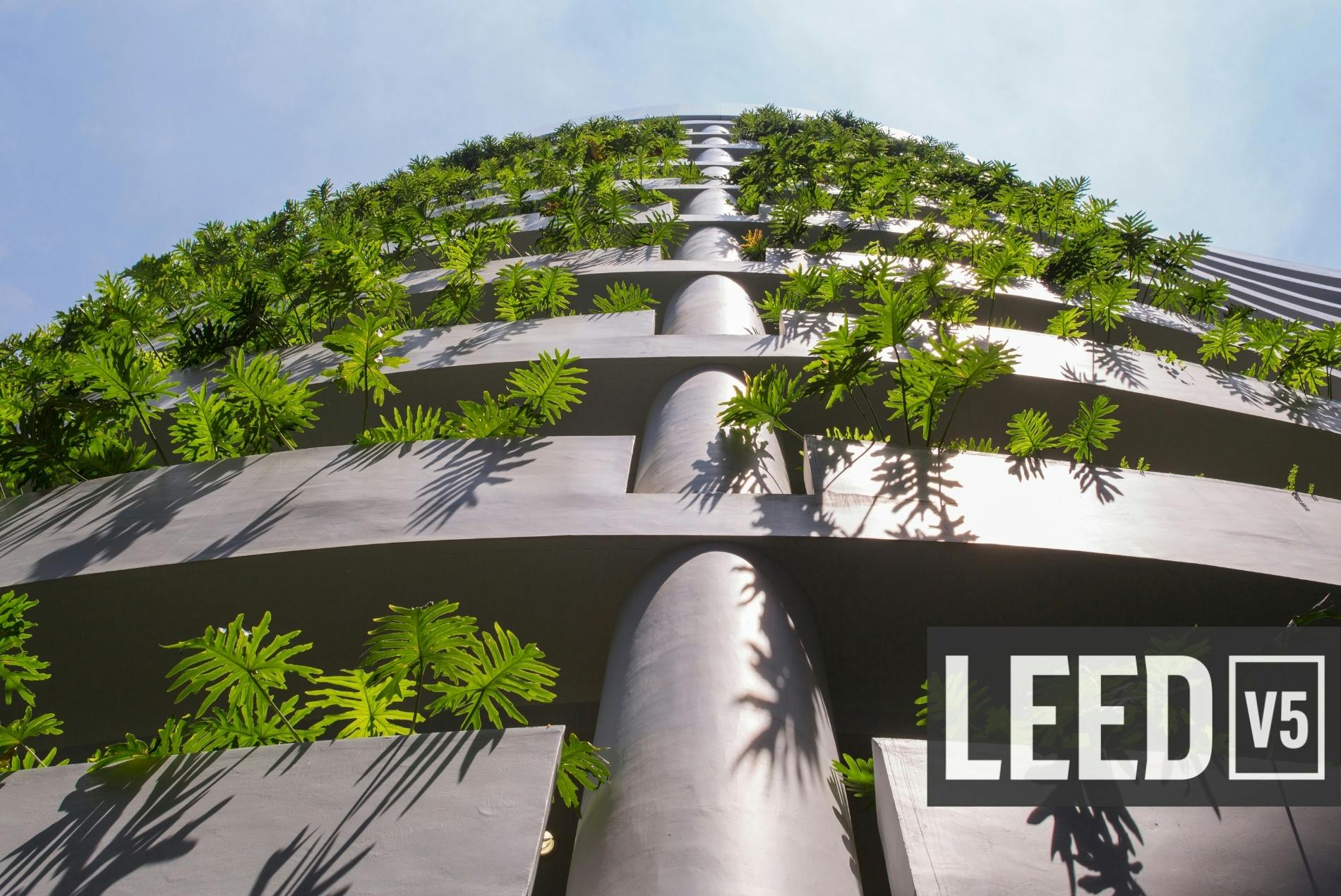 An inside look at LEED v5 from one of its key architects | Building ...